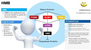 Suplemento HMB Para Que Serve? O Que É Hidroximetilbutirato?